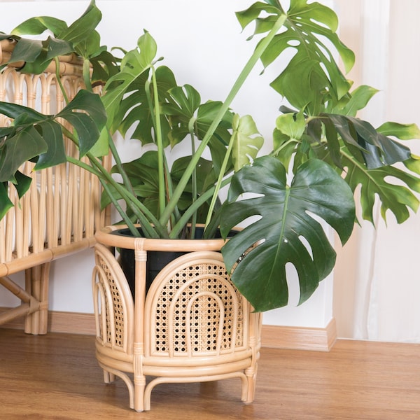 Rattan Planter - Etsy