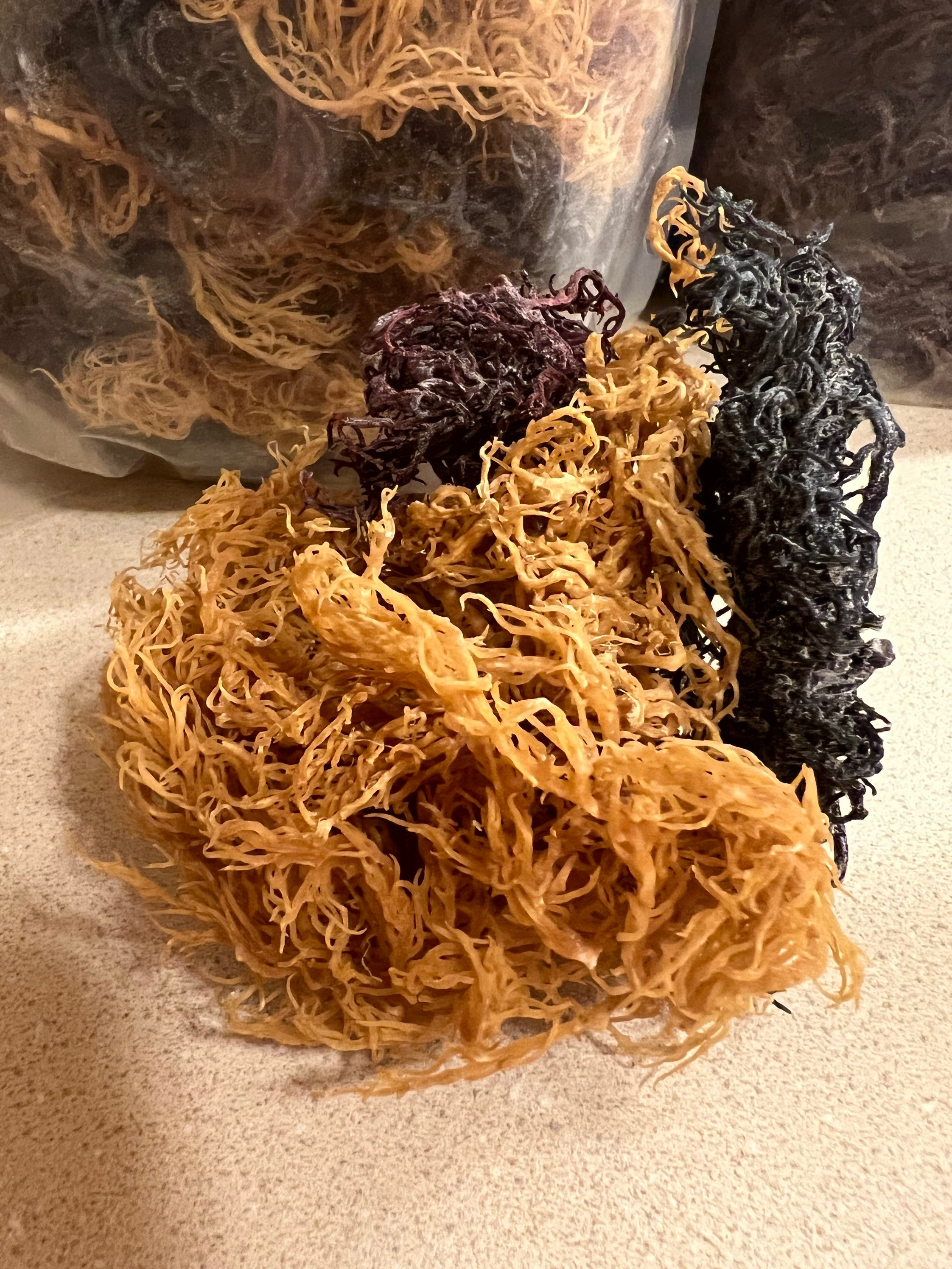 Cotton Candy Multi Colored Wildcrafted Sea Moss From Saint Lucia - Etsy