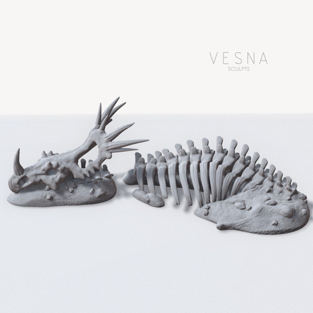 Ancient Dragon Skeleton Terrain Set - Etsy