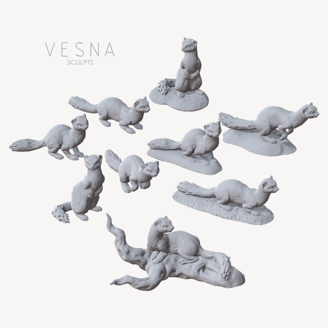 Weasel/ferret Animal Companion Set Miniatures, Basing or Diorama - Etsy