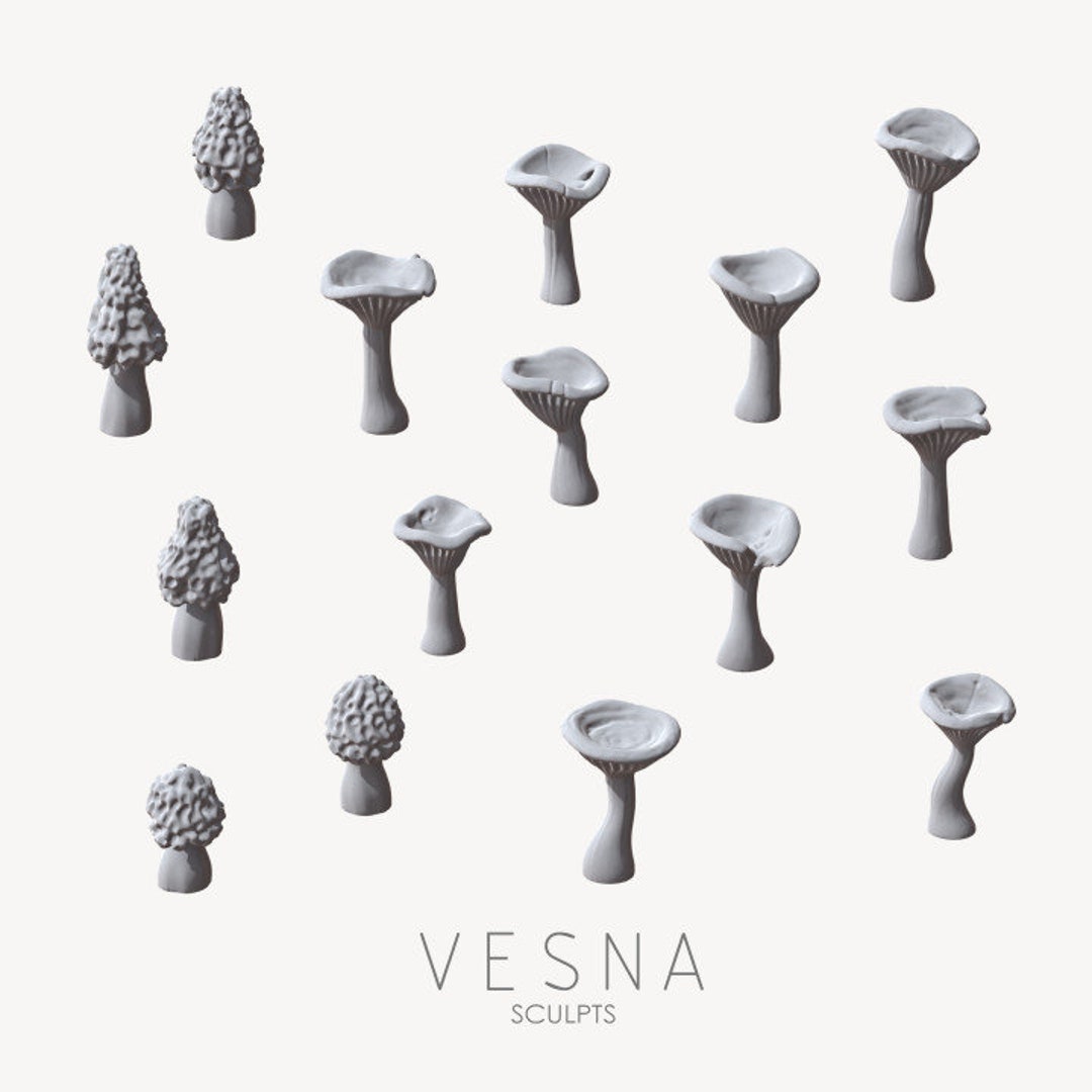 Forest Mushroom Basing Bits Set Vesna Sculpts - Etsy