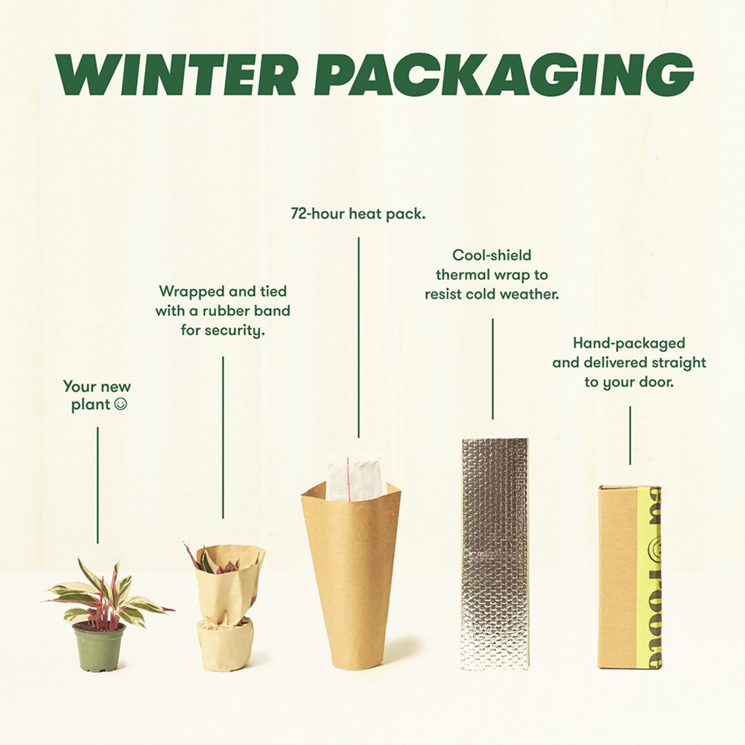Winter Packaging - Etsy