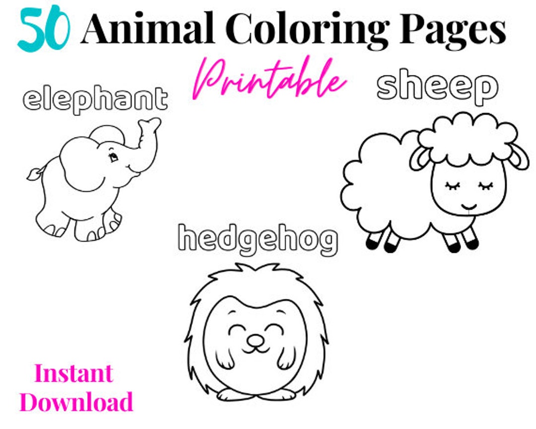 50 Animal Coloring Pages for Kids - Etsy