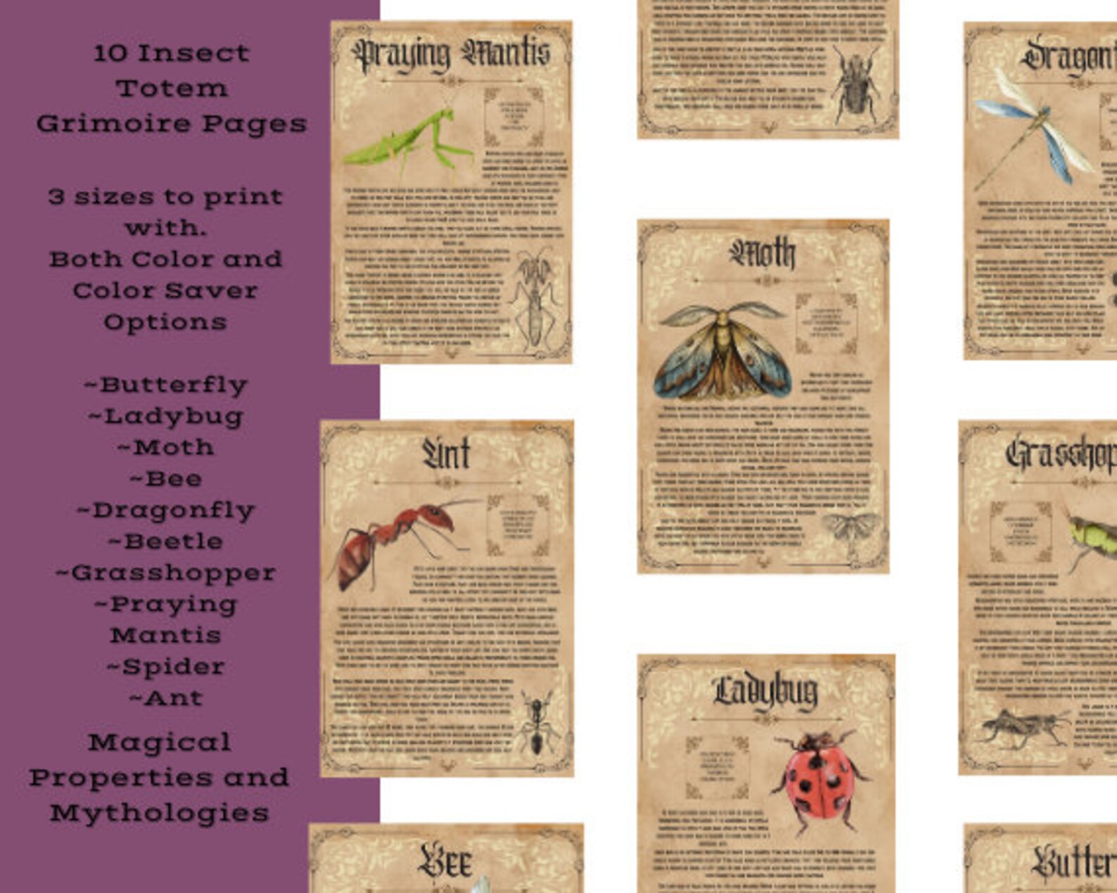 Insect Totem Grimoire Pages: Spirit Animal Printable Inserts (digital ...