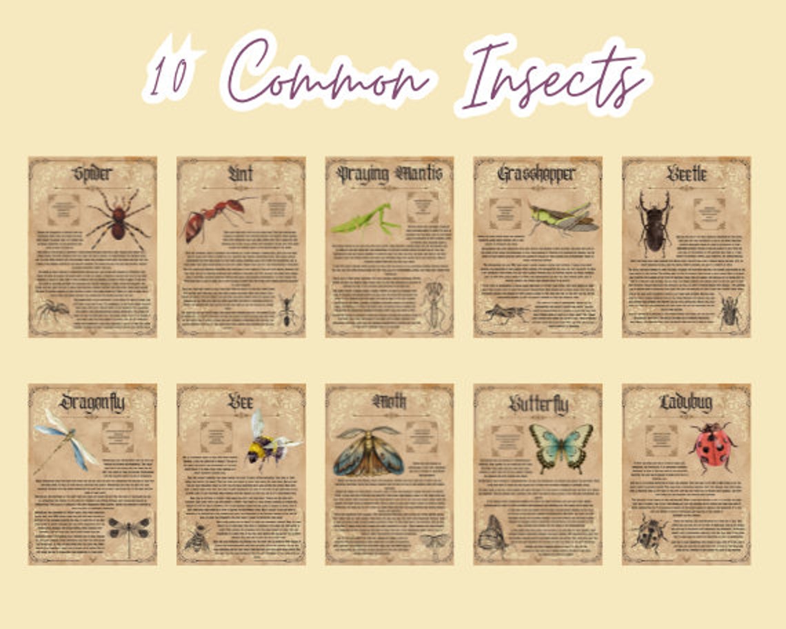 Insect Totem Grimoire Pages: Spirit Animal Printable Inserts (digital ...