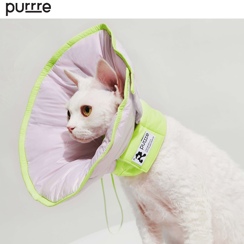 Elizabethan Collar - Etsy