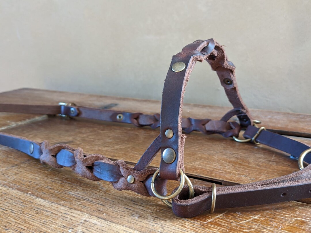 Noseband Sidepull Halter Leather Cob - Etsy UK