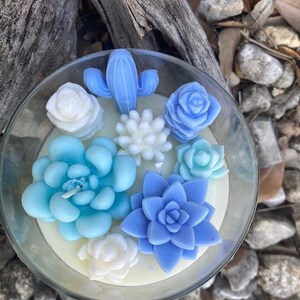 Design Your Own Succulent Terrarium Candle 22oz Soy Wax - Etsy