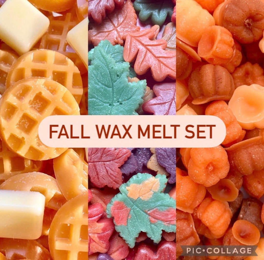 Fall Wax Melt Set - Soy Wax Melt Bundle - Fall Colors - Pumpkins and ...