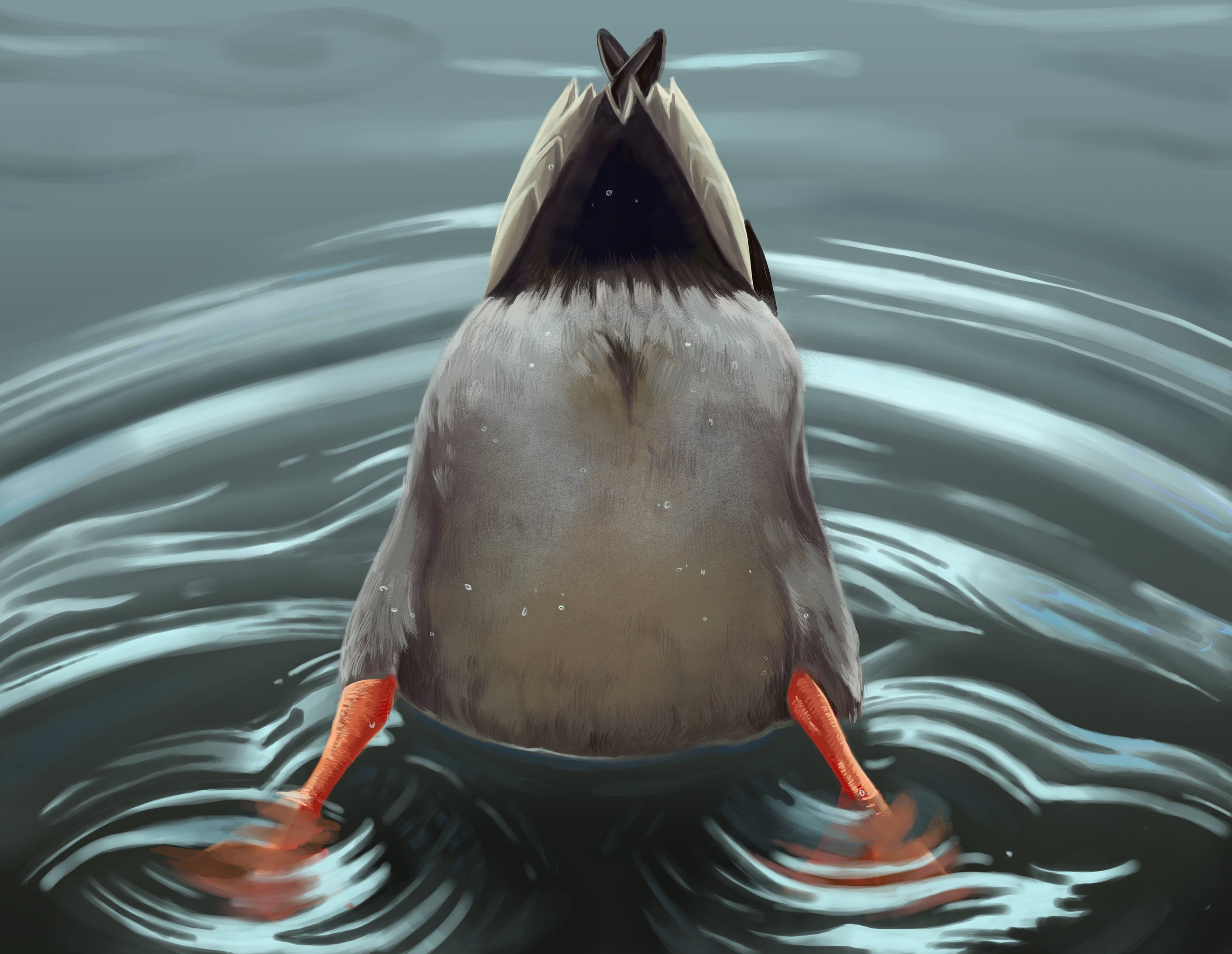 Mallard Duck Butt - Etsy