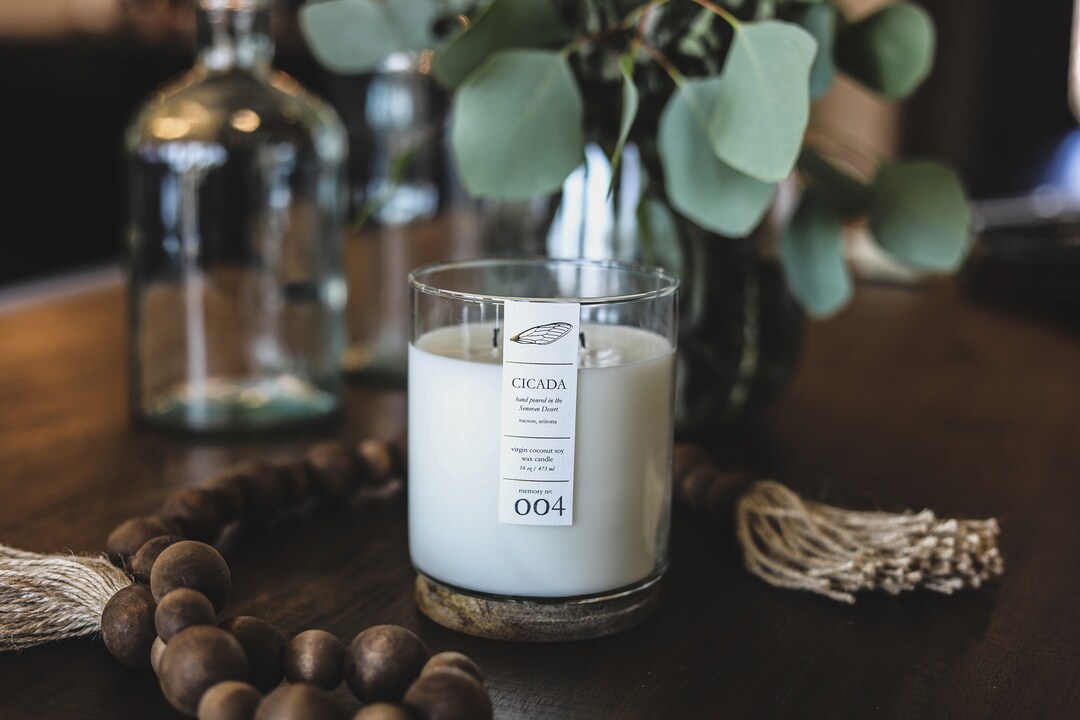 CICADA No. 004 Sonoran Wedding Cake Non-toxic Candle - Etsy