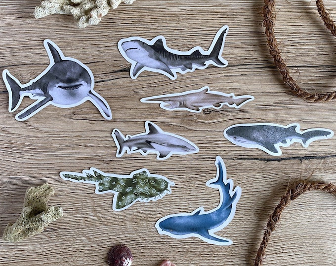 Shark Stickers, Vinyl Stickers, Sharks, Ocean Life, Plastic Free ...