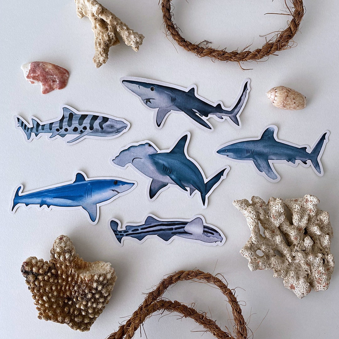 SHARK WATERCOLOR STICKER 100% Recycled Sticker Paper Set of 6 Pieces ...