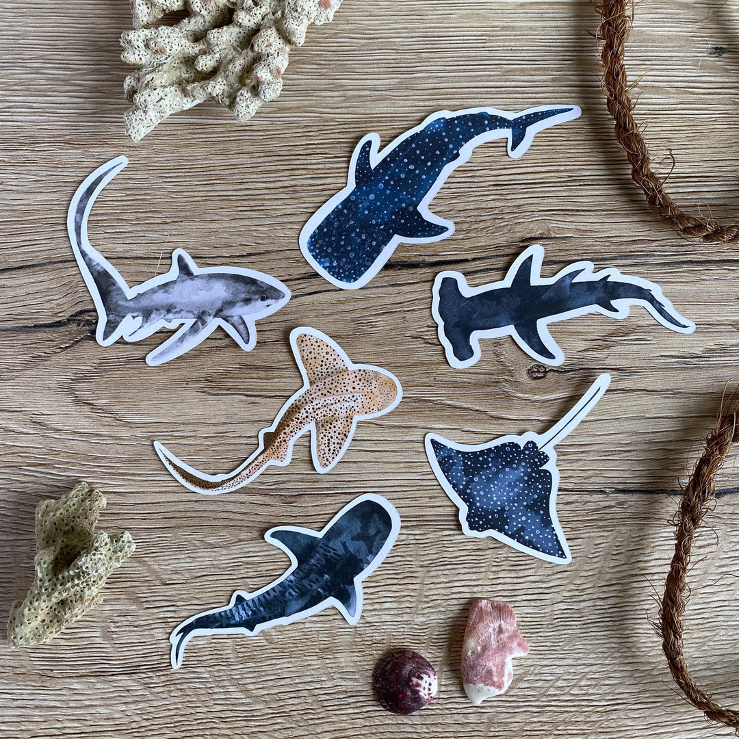 SHARK WATERCOLOR STICKER 100% Recycled Sticker Paper Set of 6 Pieces ...