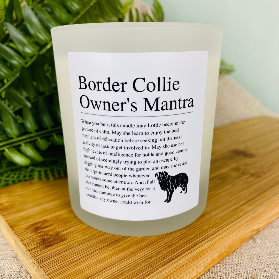 Border Collie Owner's Funny Affirmation Candle | Personalised With Dogs ...