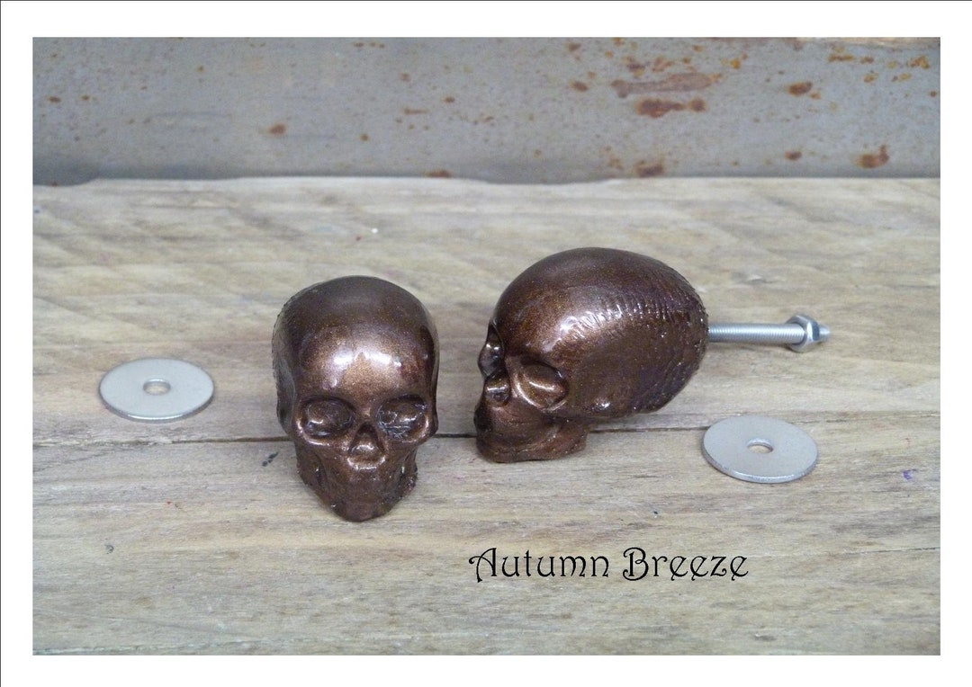 Brown Skull Knobs, Resin Skull Drawer Pulls - Etsy