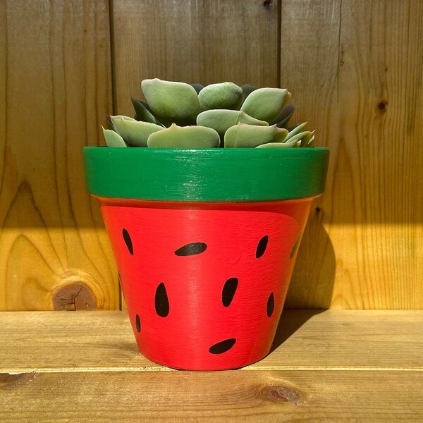 Watermelon Planter Pot - Etsy