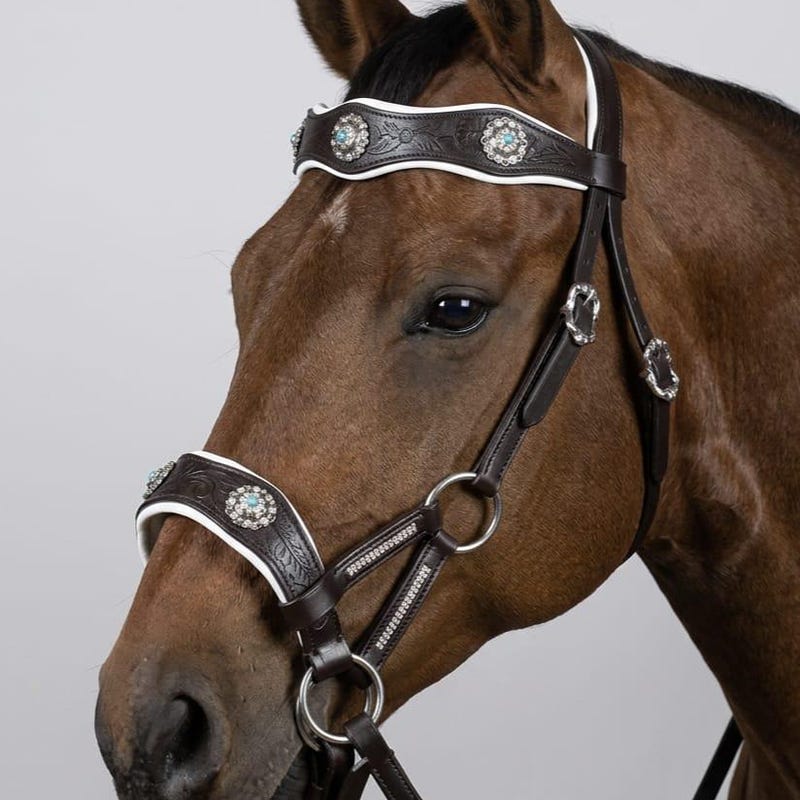 Bitless Bridle Tack Set - Etsy