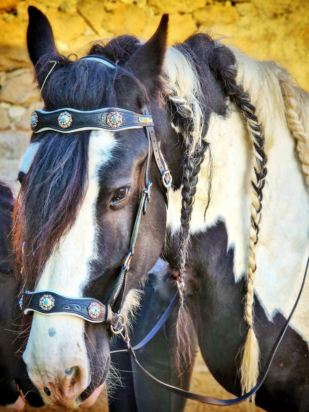 Handmade Horse Leather Black Bridle Dressage Sidepull Bitless Bridle ...