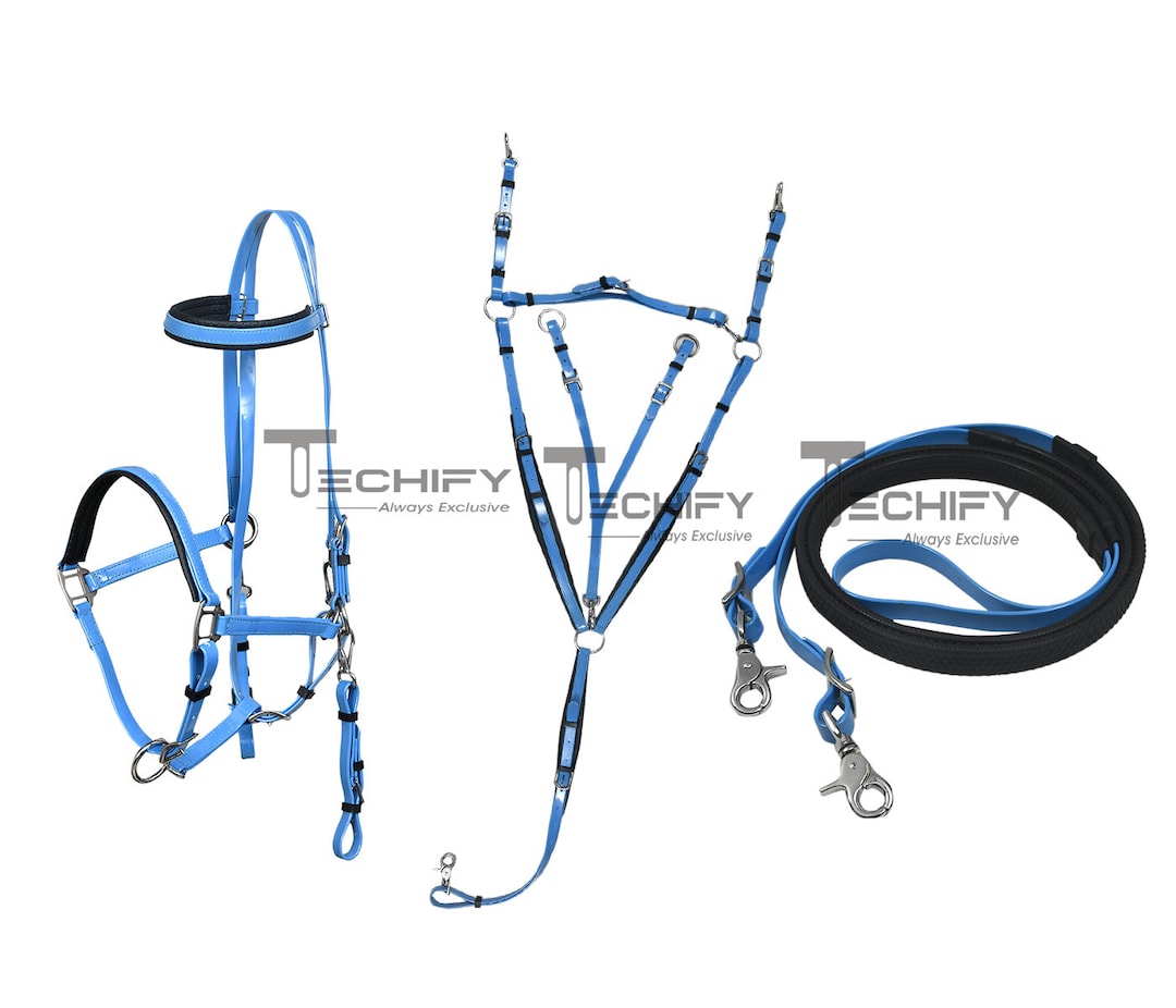 Sky Blue Endurance Halter Bridle Reins Set: PVC Equestrian Tack With ...