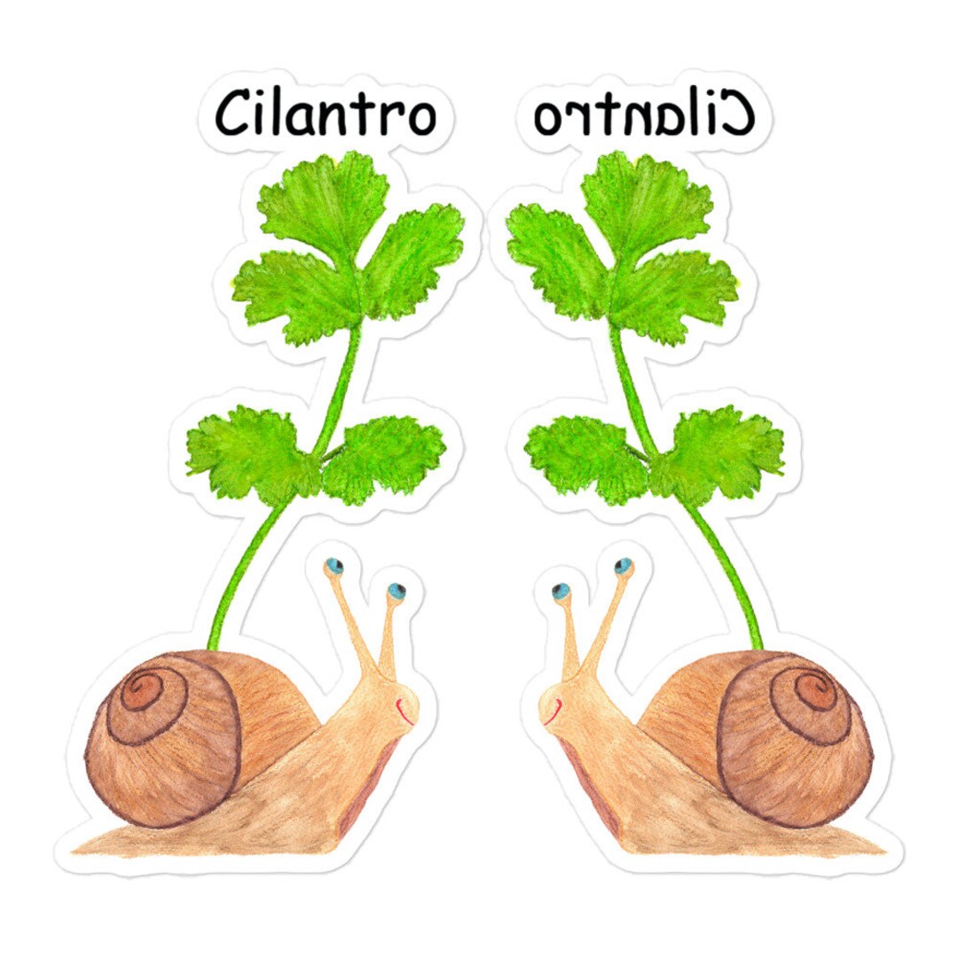 Cilantro Garden Marker Reverse Image Bubble-free Vinyl Stickers to ...