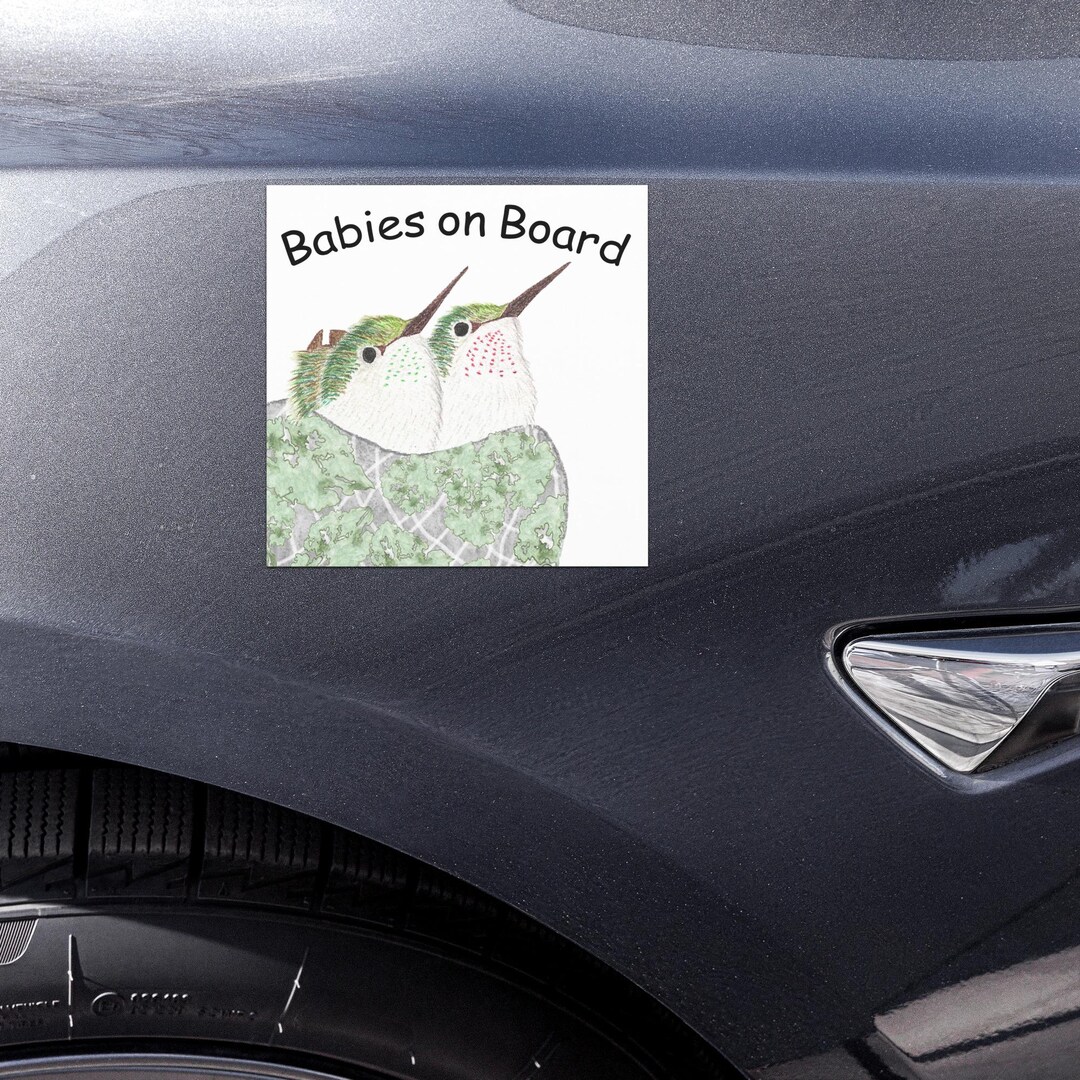 Babies on Board Hummingbird Car Magnets - Baby Hummingbird Magnet - Etsy