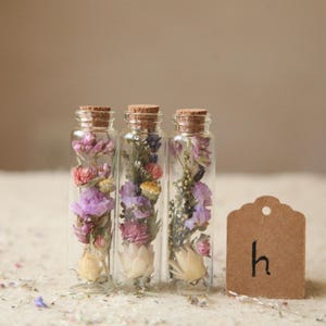 Mini Herbarium Specimen Jars, Set of 3 Apothecary Vials, Wildflower ...