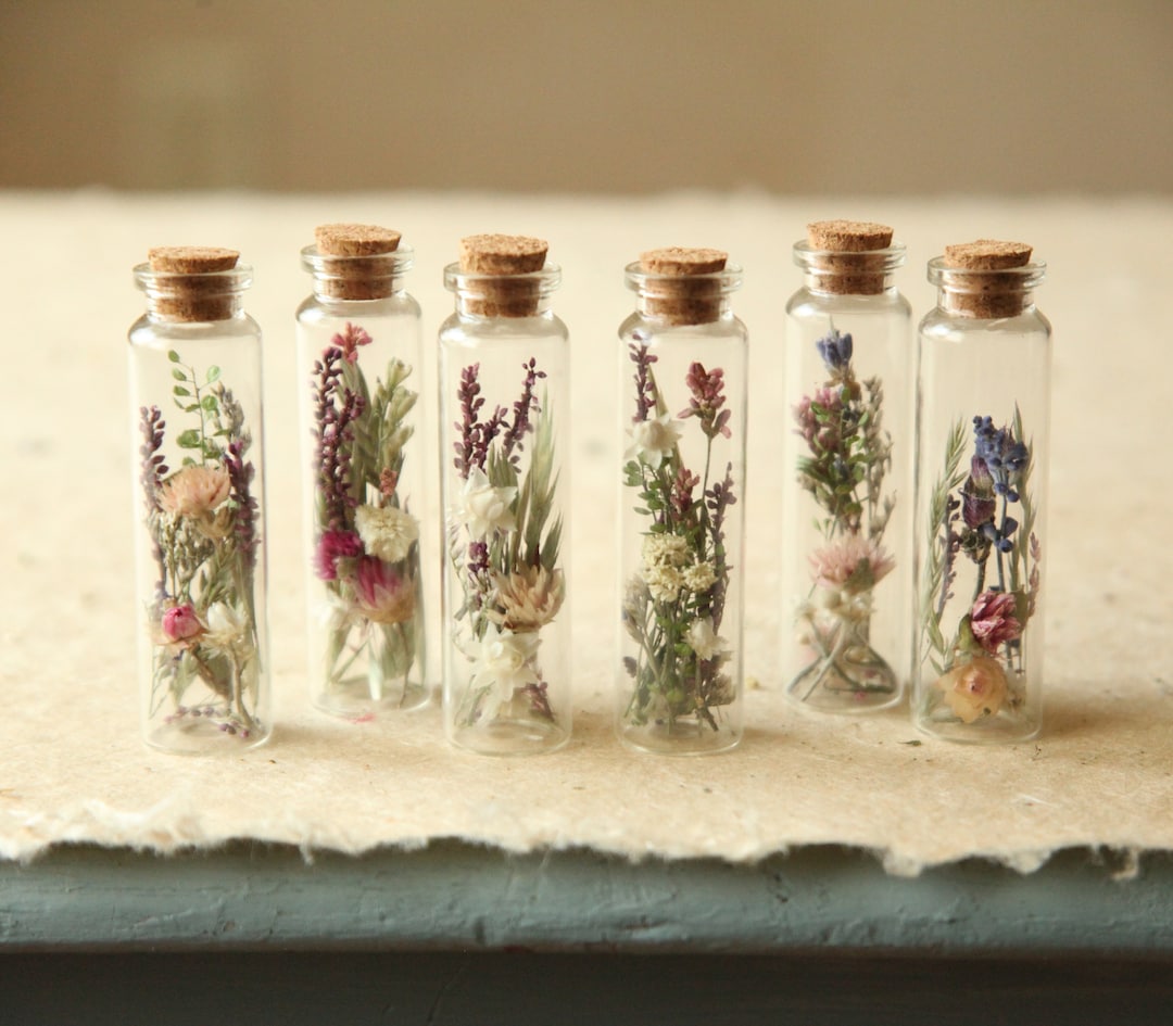 Mini Herbarium Specimen Jars, Set of 3 Apothecary Vials, Wildflower ...