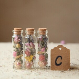 Mini Herbarium Specimen Jars, Set of 3 Apothecary Vials, Wildflower ...