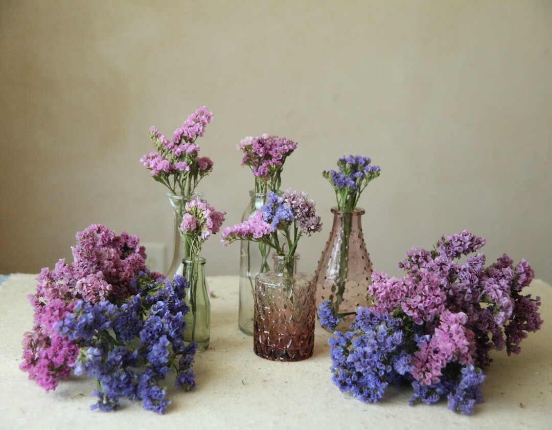 Dried Statice Bundles, Lilac, Blue, Pink and Purple Hues, Dried Flowers ...