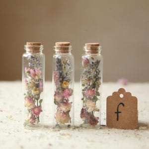 Mini Herbarium Specimen Jars, Set of 3 Apothecary Vials, Wildflower ...