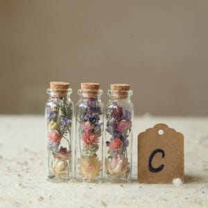 Mini Herbarium Specimen Jars, Set of 3 Apothecary Vials, Summer ...