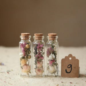 Mini Herbarium Specimen Jars, Set of 3 Apothecary Vials, Wildflower ...