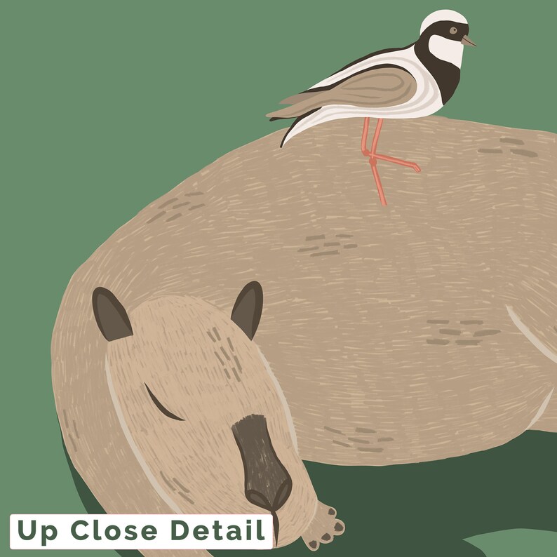 Capybara With Friends Series, Set of 3, Digital Download Art, Printable ...