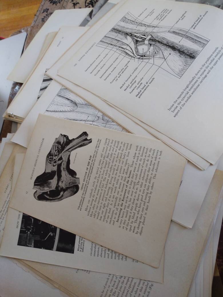 20 Vintage Medical Pages for Scrapbooking Framing Doctor Book - Etsy