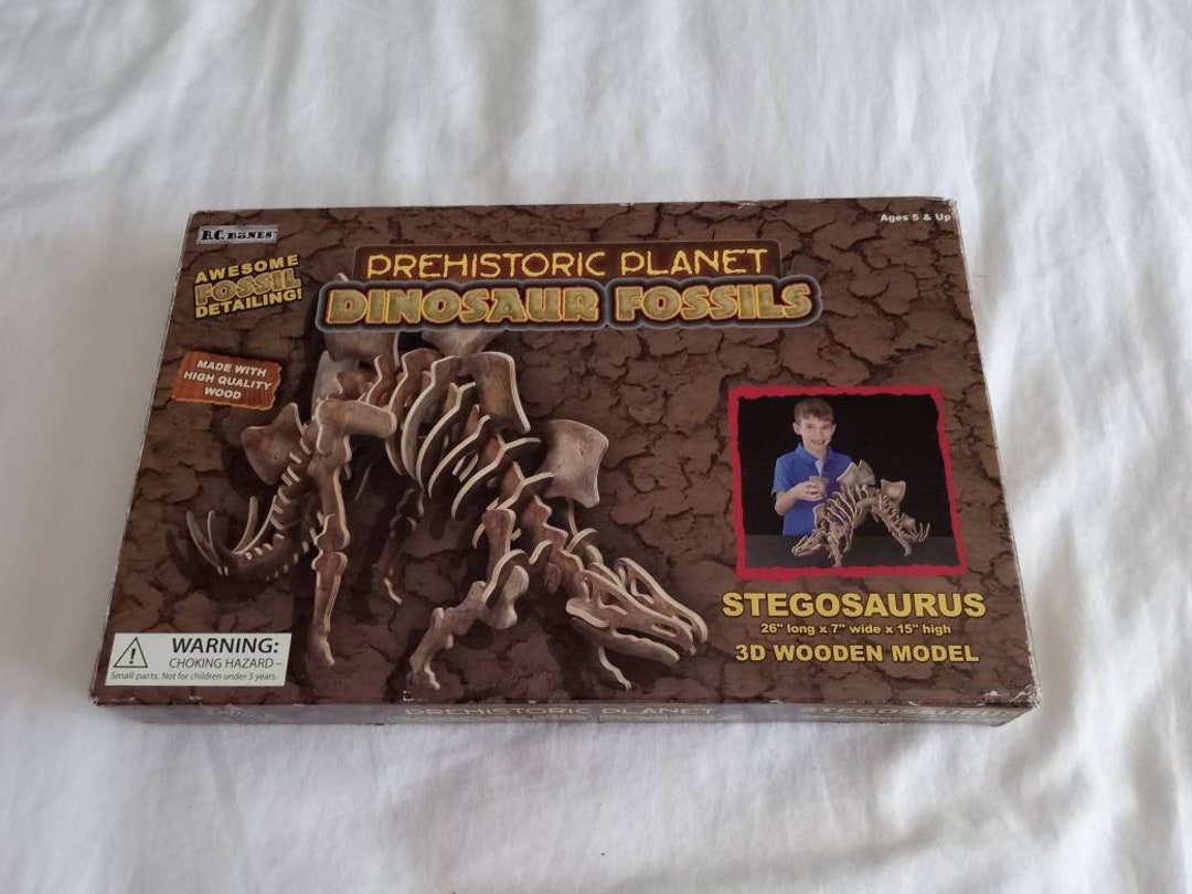Prehistoric Planet Dinosaur Fossils Stegosaurus Wood Puzzel 3D Model ...