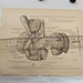 Pancreas Digestive Organs Diagram Dissection Anatomy Drawing Vintage ...
