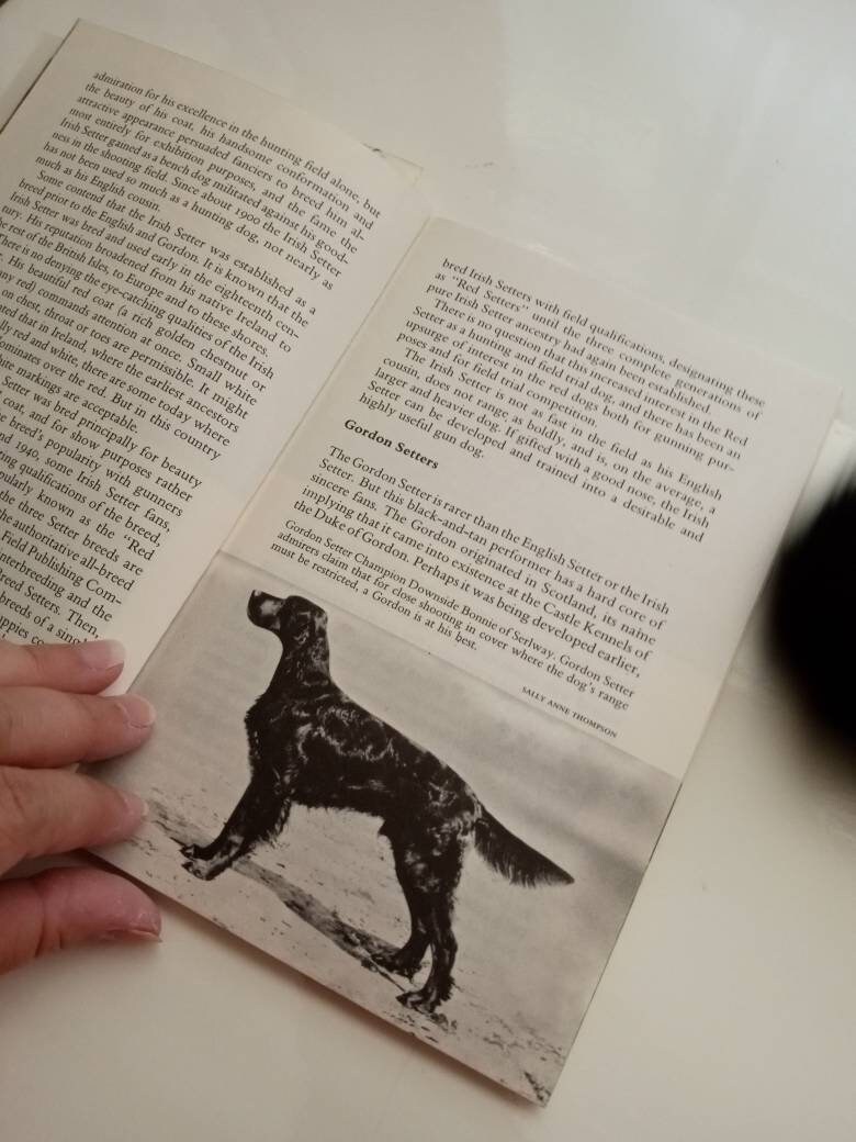 Know Your Setters and Pointers Book Library Vintage Antique - Etsy