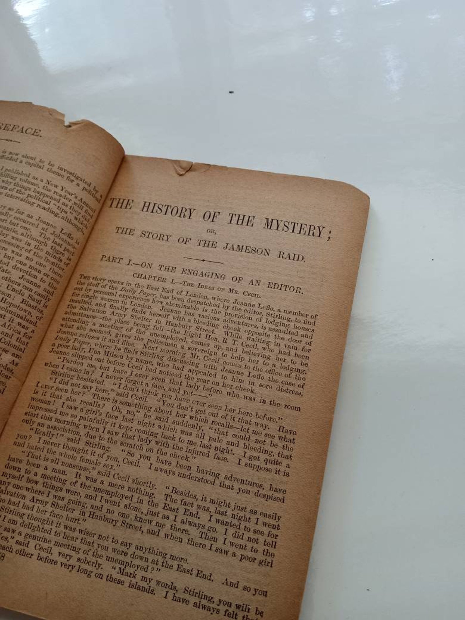 The History of the Mystery; or the Story of Jaeson Raid Little Library ...