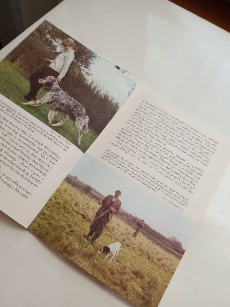 Know Your Setters and Pointers Book Library Vintage Antique - Etsy