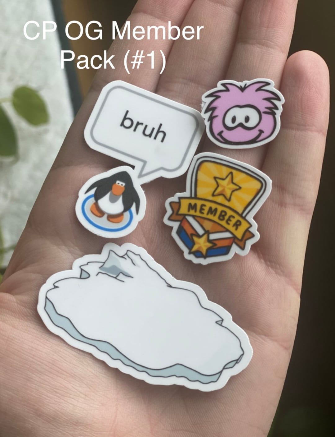 CP Mini Vinyl Sticker Packs - 5 Different Packs - Etsy