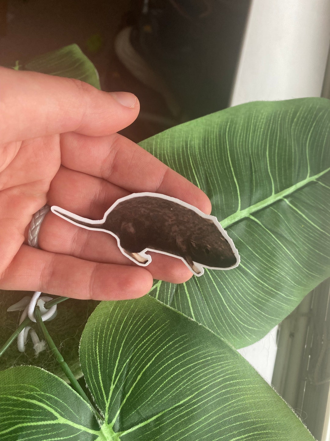 Halo 3 Rat Vinyl Sticker - 2.5”x1.9” - Etsy