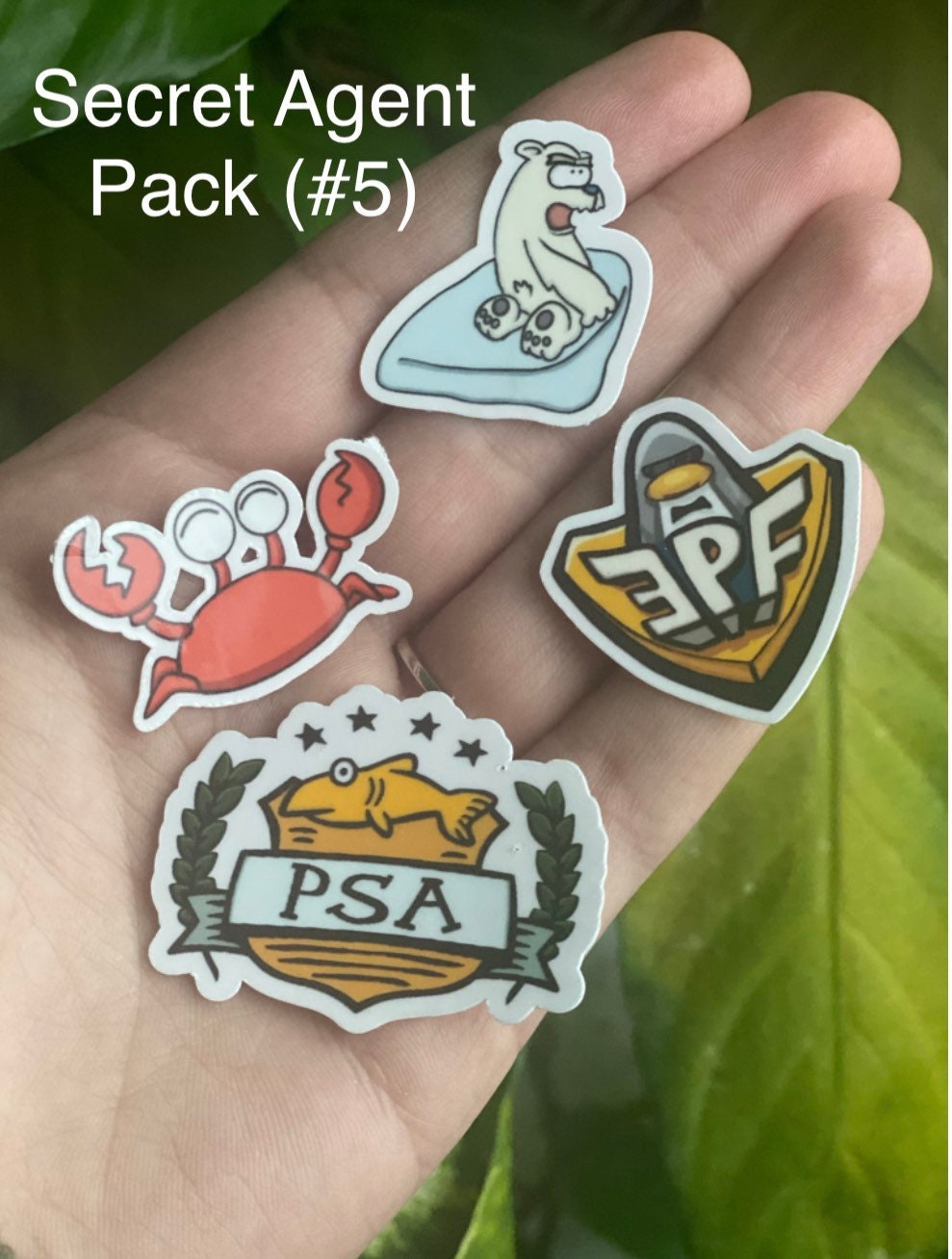 CP Mini Vinyl Sticker Packs 5 Different Packs - Etsy