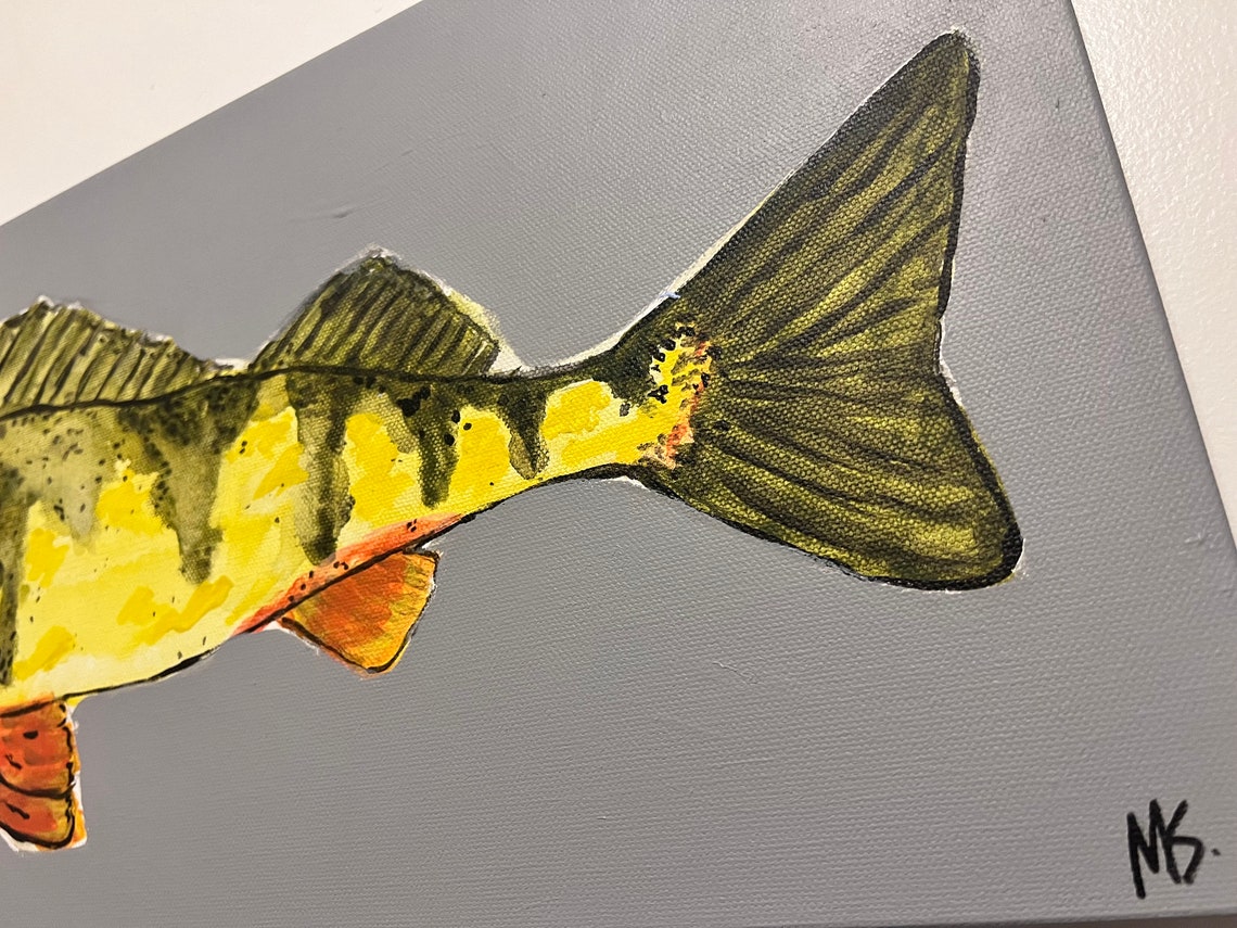 Original Art: Perch Fish -- Acrylic Painting/canvas-- Fish Painting - Etsy