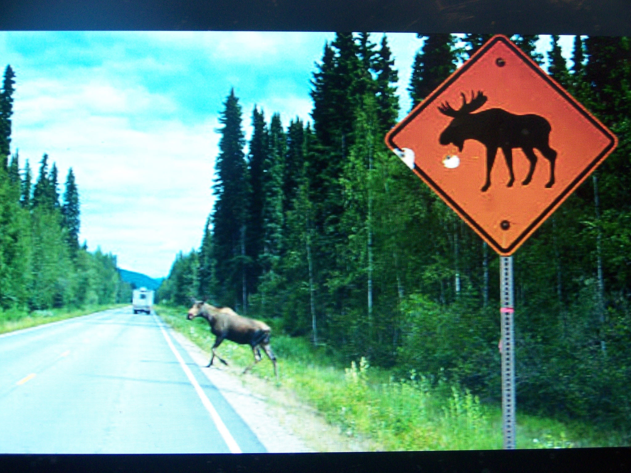 Model Train Street Signs Moose Crossing Warning N Scale Layouts Details ...