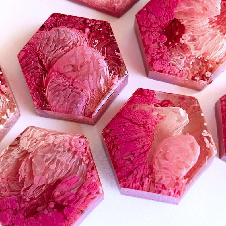 Set of 5 Hexagon Pink Petri Resin Magnets 1 Pink Tones Refrigerator ...