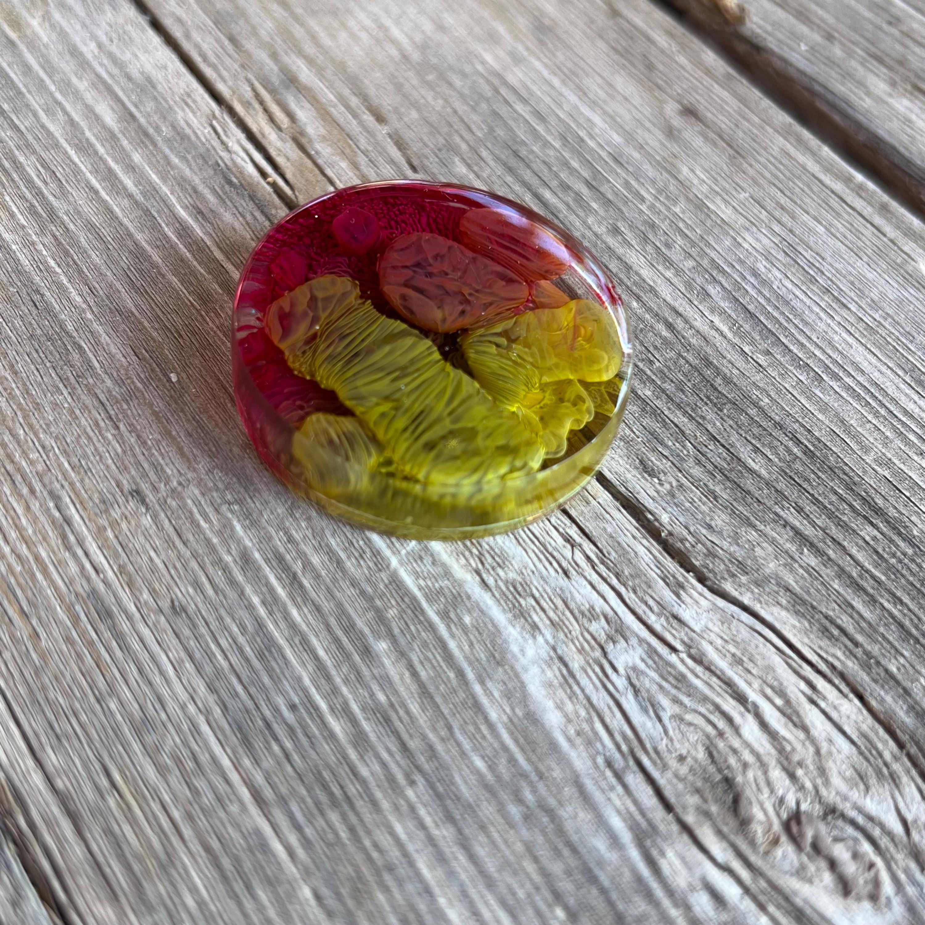 1.5” Olive and Cranberry Petri Resin Magnet | Petrified Clouds - Etsy