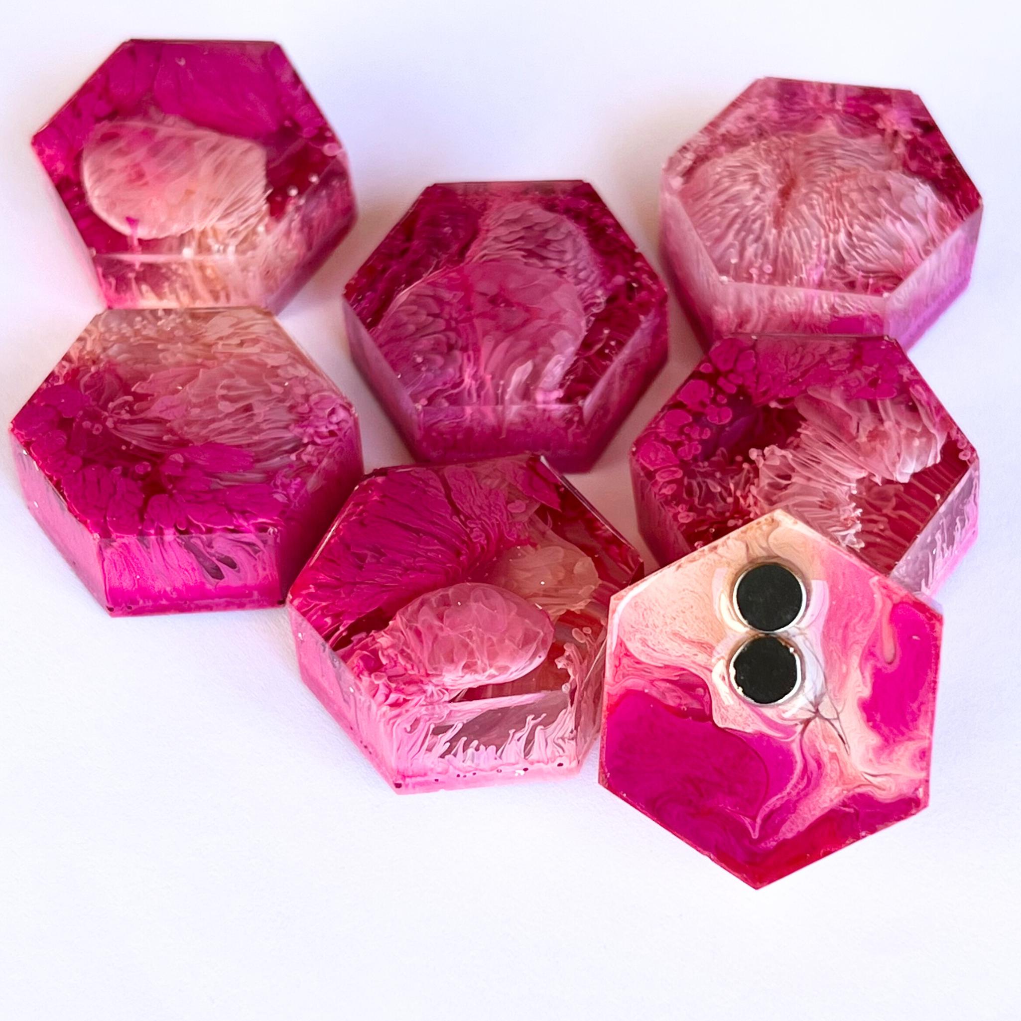 Set of 5 Hexagon Pink Petri Resin Magnets 1 Pink Tones Refrigerator ...