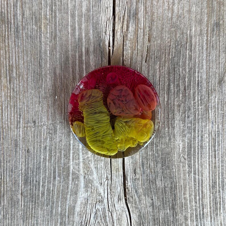 1.5” Olive and Cranberry Petri Resin Magnet | Petrified Clouds - Etsy