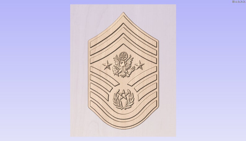 USAF Command Chief Master Sergeant of the Air Force E9 3d - Etsy